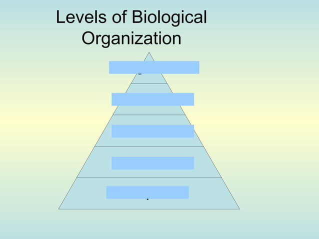 Levels of organization | PPT