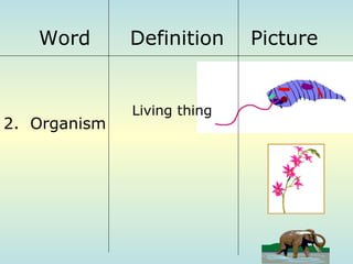 Levels of organization | PPT