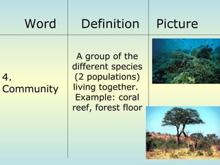 Levels of organization | PPT