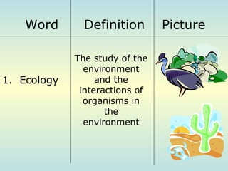 Organism Definition
