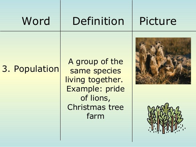 Examples Of The Four Levels Of Organization