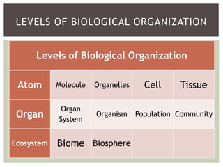 Levels of organization | PPTX