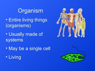 Levels of organization | PPT