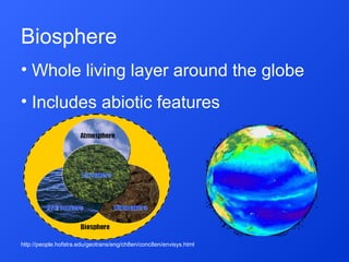 Levels of organization | PPT