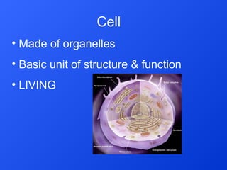 Levels of organization | PPT