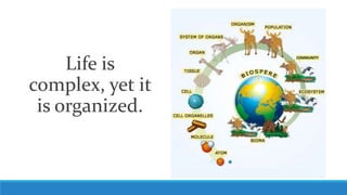 Biological Organization | PPSX