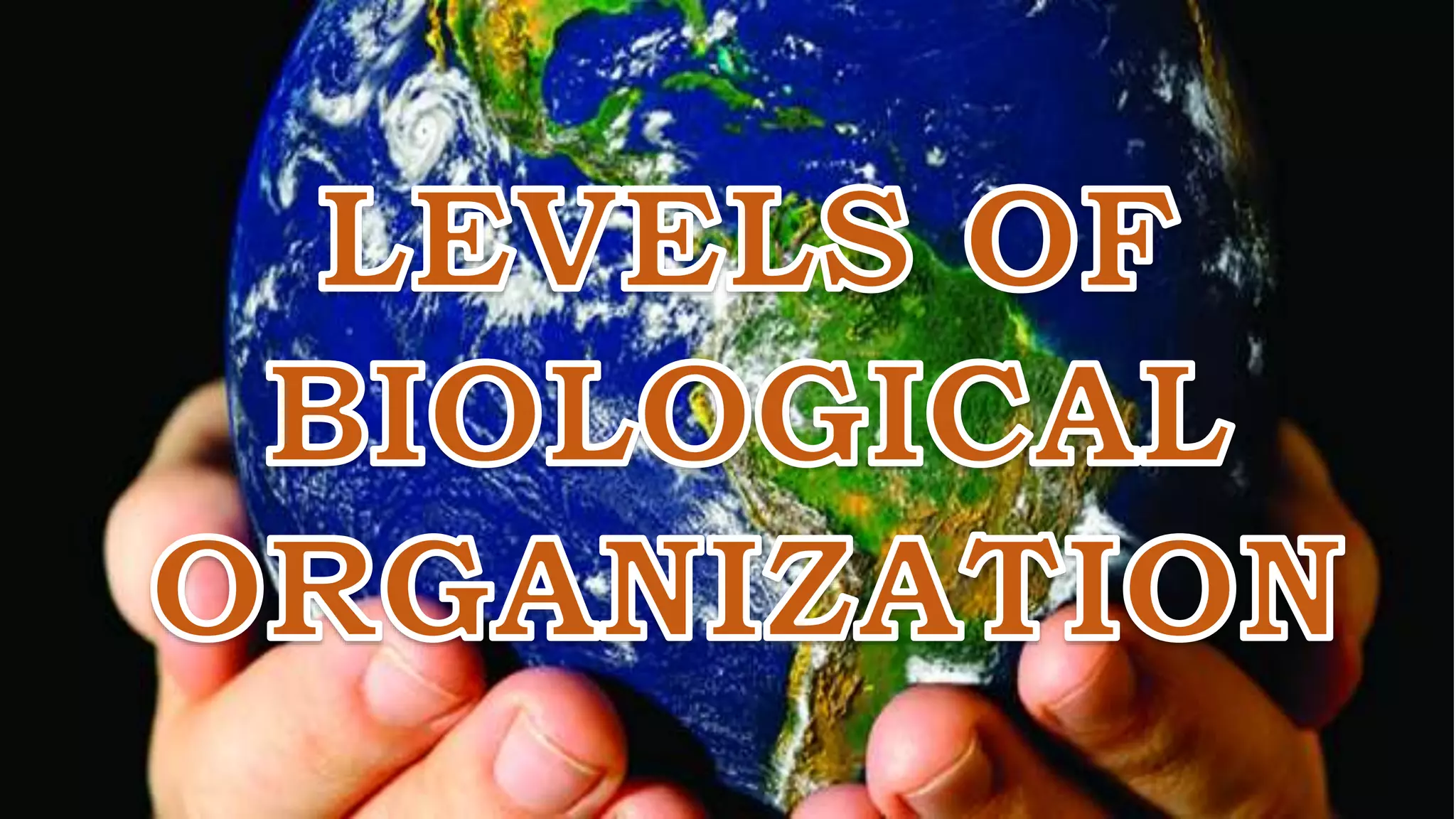 Levels of organization | PPTX