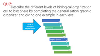 Levels of organization | PPTX