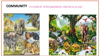 Levels of organization | PPTX