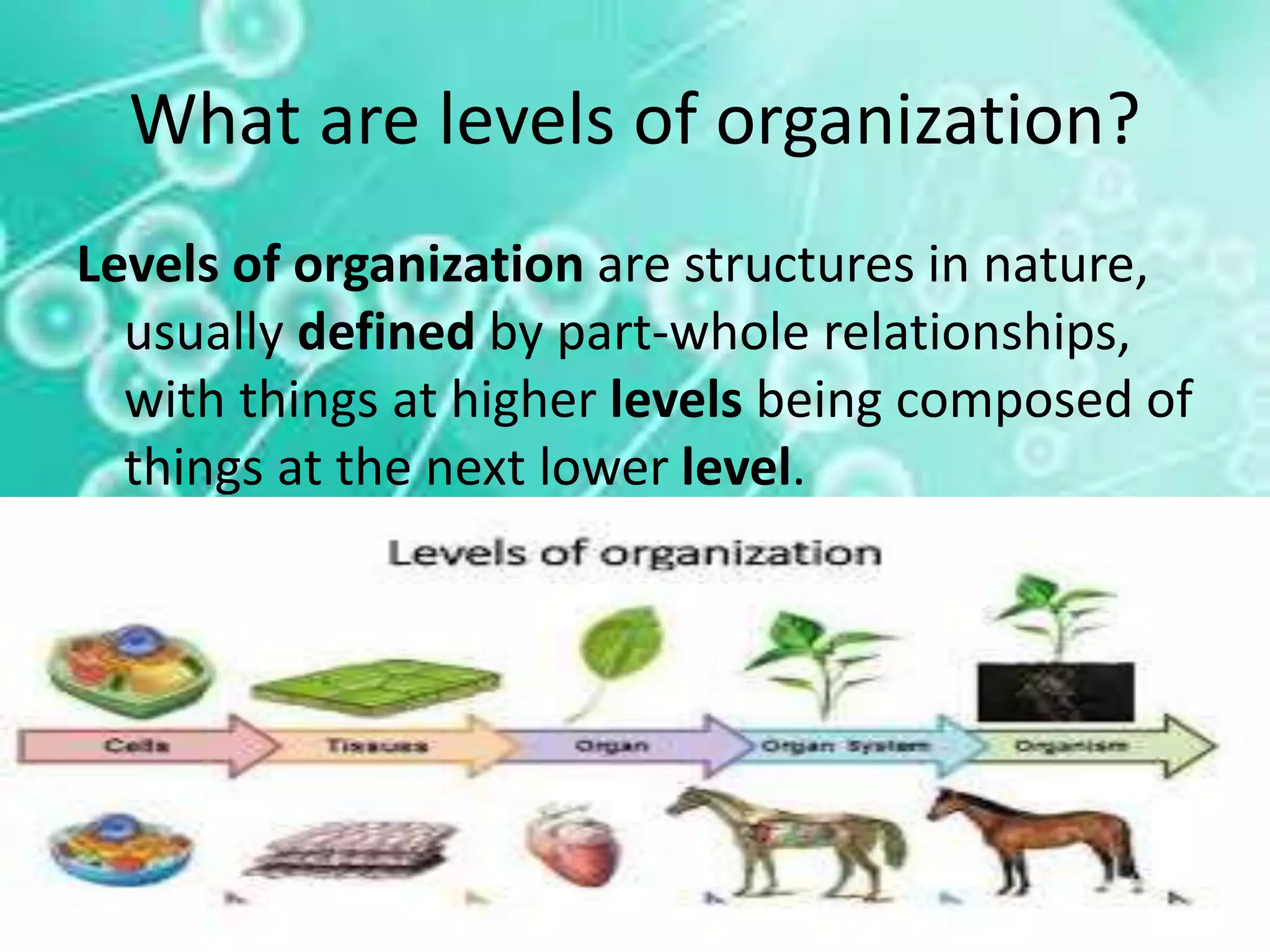 Levels of organization | PPTX