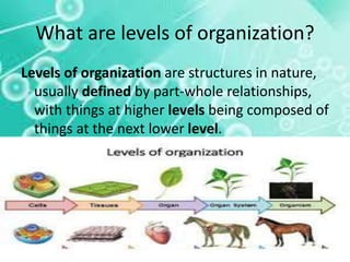 Levels of organization | PPTX