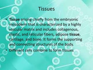Levels of organization | PPTX