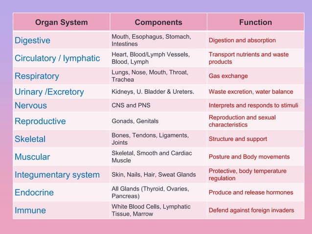 Levels of organization | PPTX