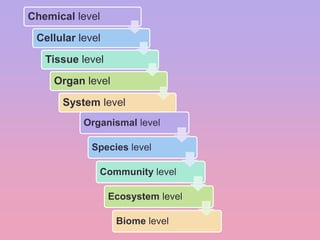 Levels of organization | PPTX