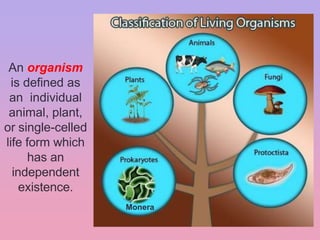 Levels of organization | PPTX