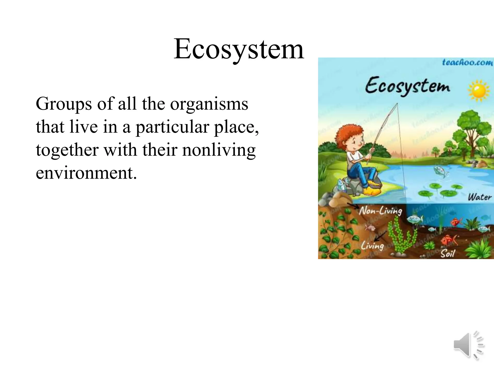 Levels of organization | PPT