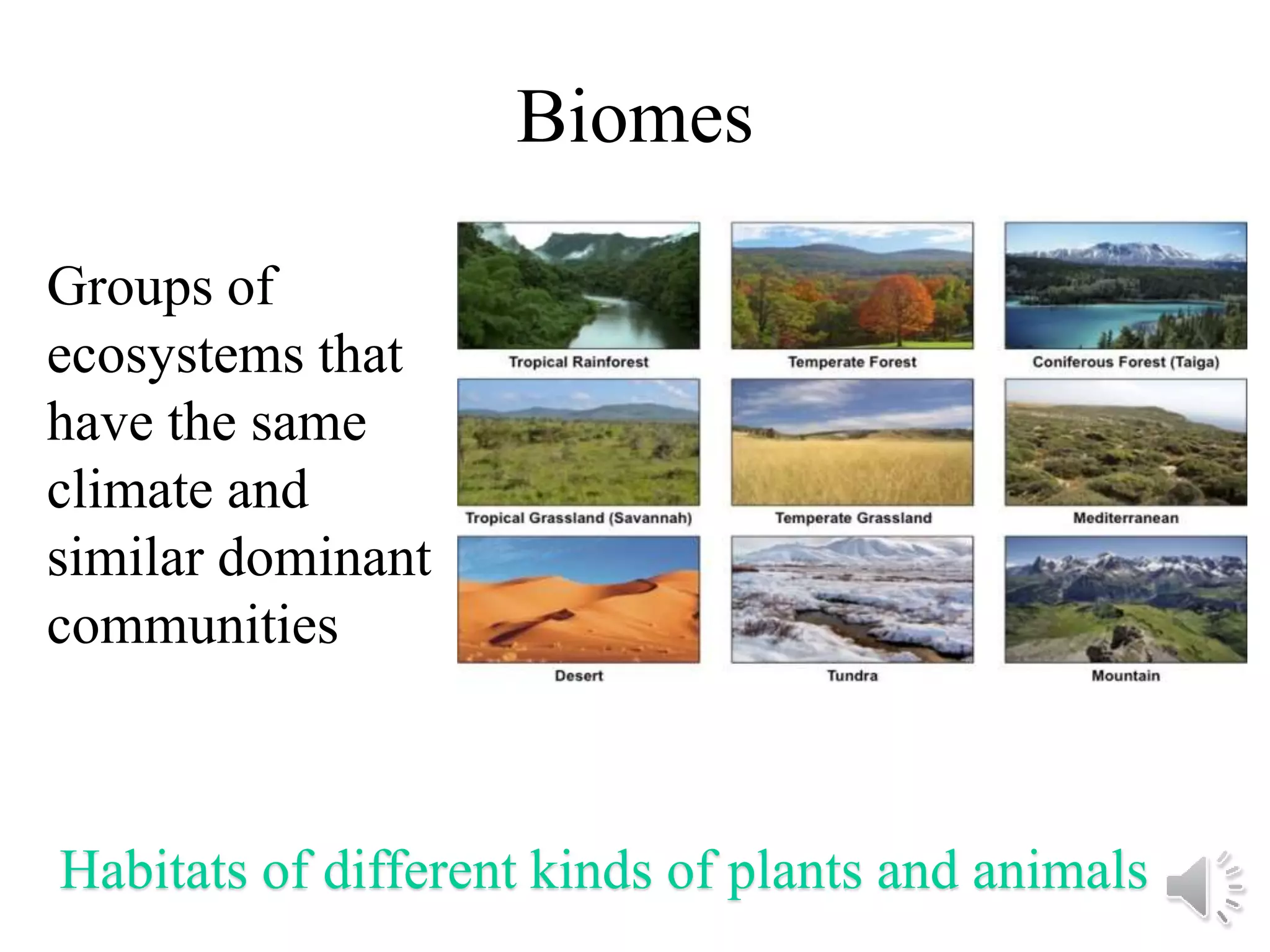 Levels of organization | PPT