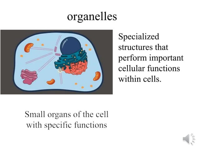 Levels of organization | PPT