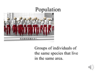 Levels of organization | PPT