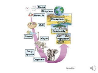 Levels of organization | PPT