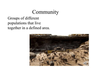 Levels of organization | PPT