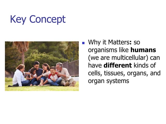 Levels of Organization.pptx