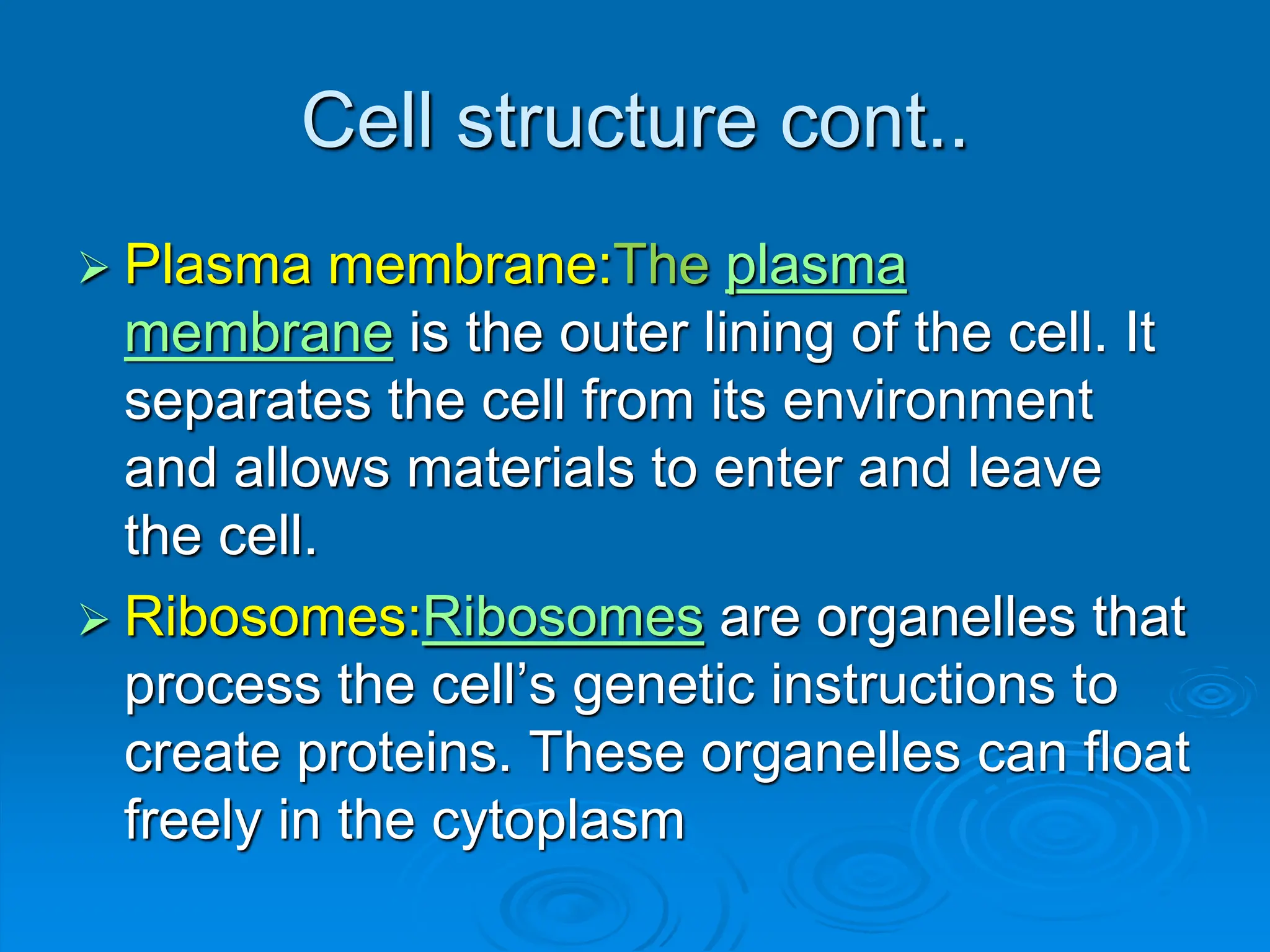 Levels Of Organization biology enggi.ppt | Free Download