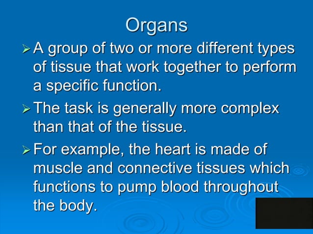 Levels Of Organization biology enggi.ppt