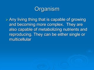 Levels Of Organization biology enggi.ppt