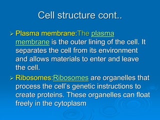 Levels Of Organization biology enggi.ppt