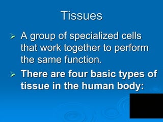 Levels Of Organization biology enggi.ppt