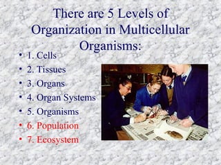 Levels_of________organizaton.........ppt