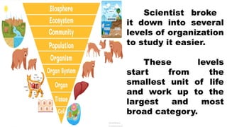 LEVELS OF ORGANIZATION for grade 7 .pptx