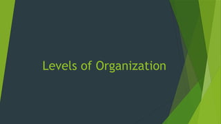 A PRESENTATION ON Levels of Organization.pptx