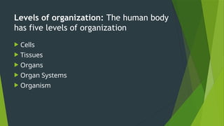 A PRESENTATION ON Levels of Organization.pptx