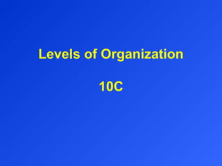 Levels of Organization Grade 7 Science .ppt