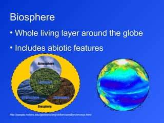 Levels of Organization Grade 7 Science .ppt