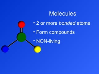 Levels of Organization Grade 7 Science .ppt