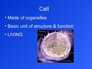 Levels of Organization Grade 7 Science .ppt