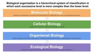 Levels of Organization biology lesson IB | PPTX