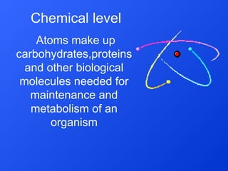 Levelsof organization | PPT