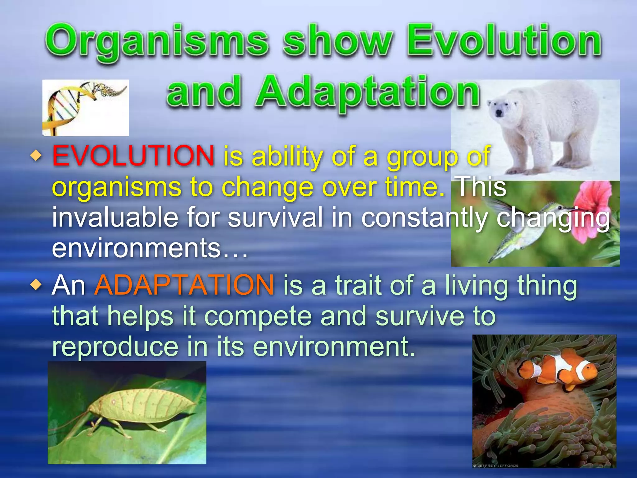 Levels of organization and charat of life rev | PPT