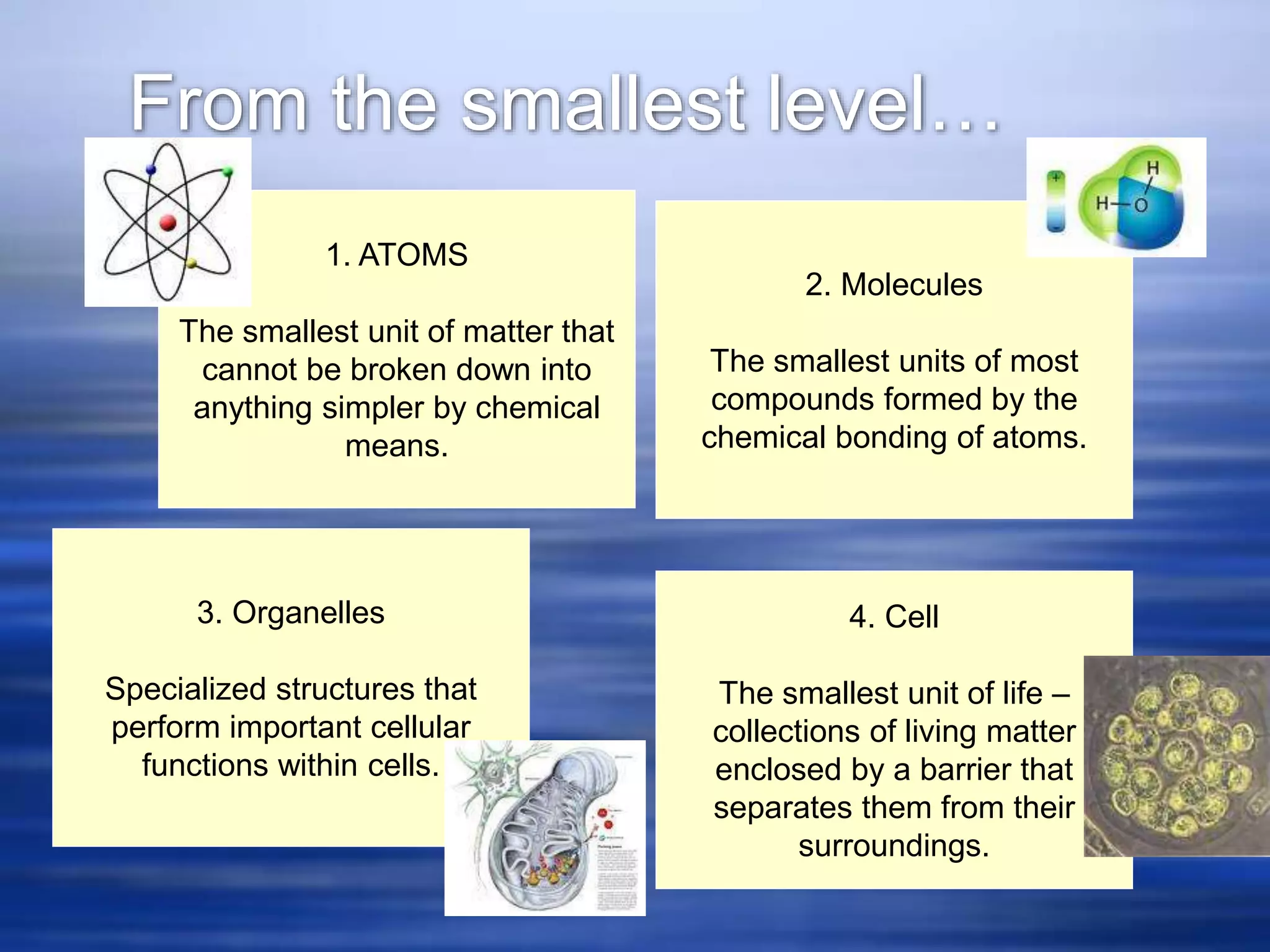 Levels of organization and charat of life rev | PPT