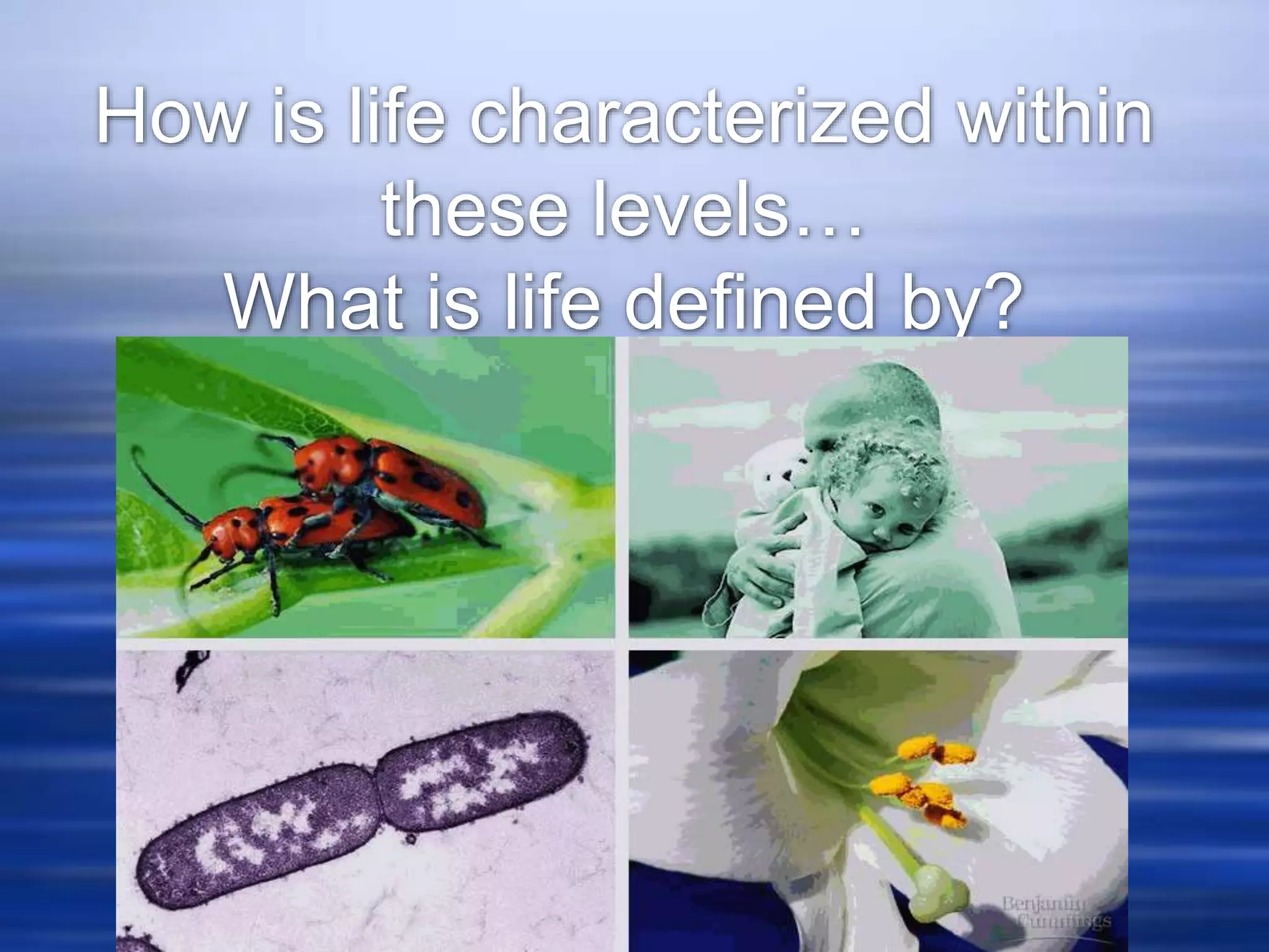 Levels of organization and charat of life rev | PPT