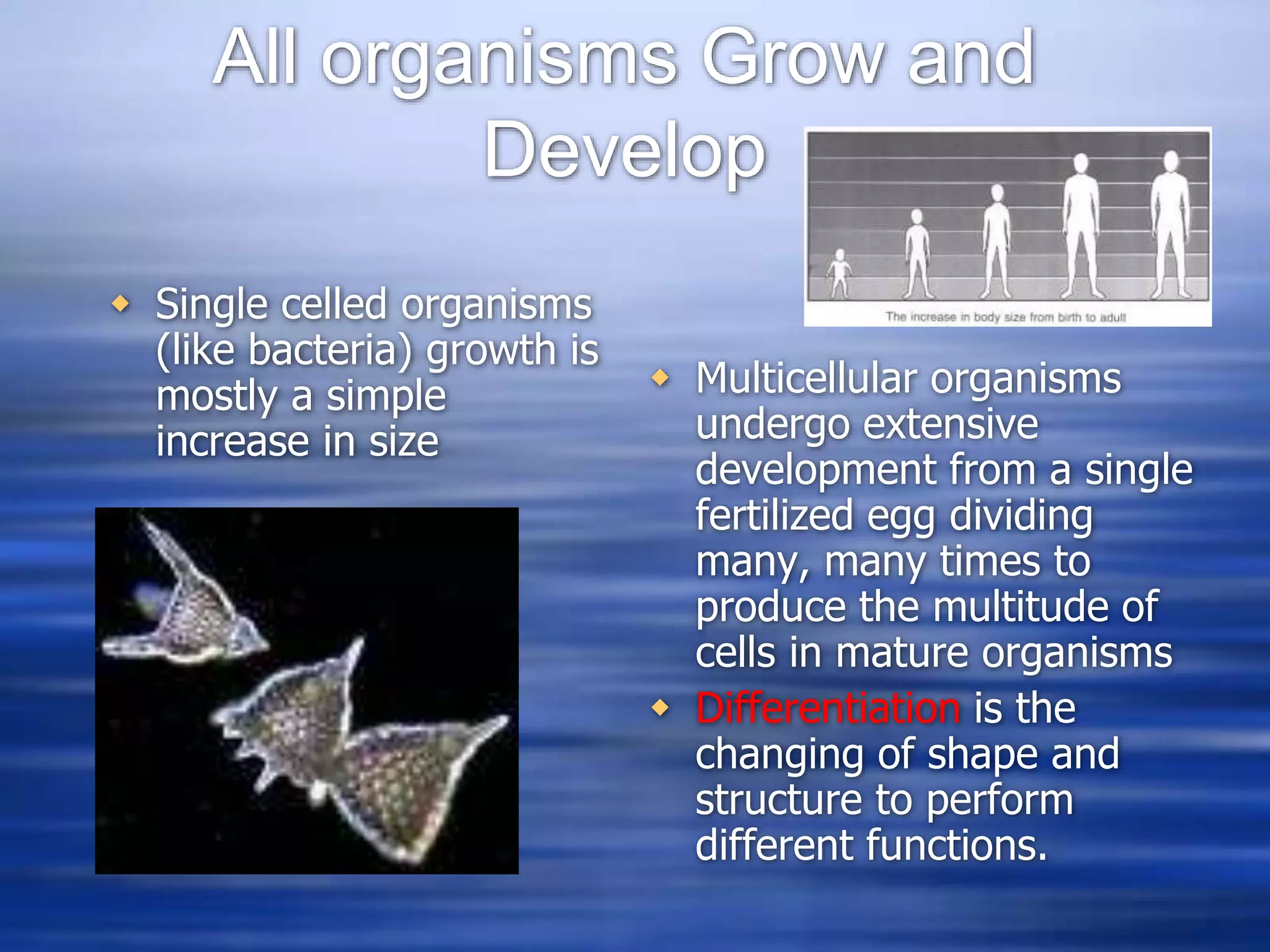 Levels of organization and charat of life rev | PPT