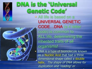 Levels of organization and charat of life rev | PPT