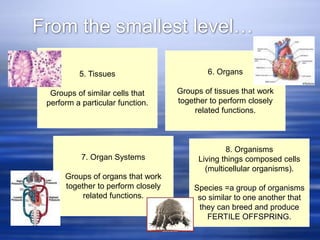 Levels of organization and charat of life rev | PPT