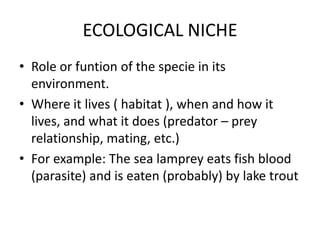 Levels of organization and niche | PPT