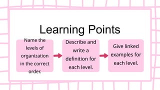 Levels of Organization Biology Presentation.pptx