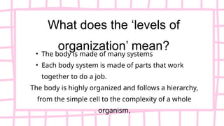 Levels of Organization Biology Presentation.pptx